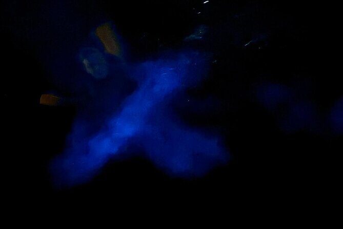 Bioluminescent Bay Boat Charter in Grand Cayman - Authentic Traveler Insights