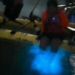 Bioluminescent Bay Chiliboats Waterbike Tour in La Parguera - Final Thoughts: Is This Tour for You?