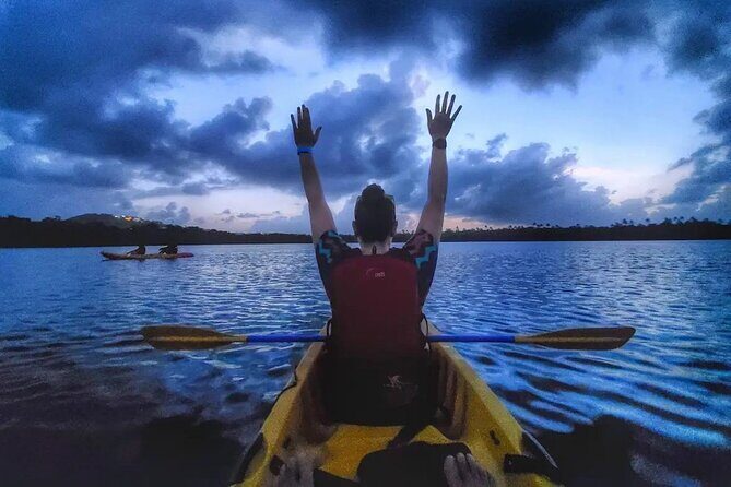 Bioluminescent Bay Kayak Tour in Fajardo Puerto Rico - What You Can Expect on the Day of the Tour