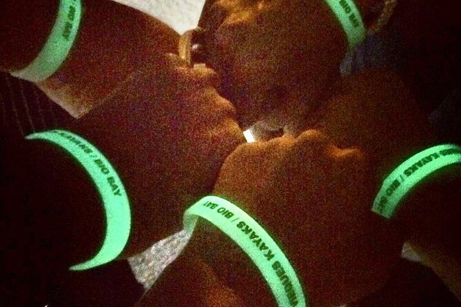 Bioluminescent Bay Kayak Trip from Vieques - The Itinerary in Detail: What Makes the Experience Special