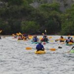 Bioluminescent Bay Night Kayaking, Fajardo - Who Will Love This Tour?