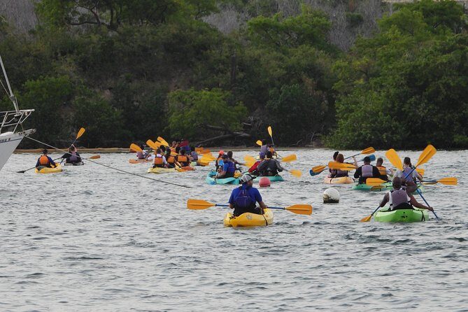 Bioluminescent Bay Night Kayaking, Fajardo - Who Will Love This Tour?