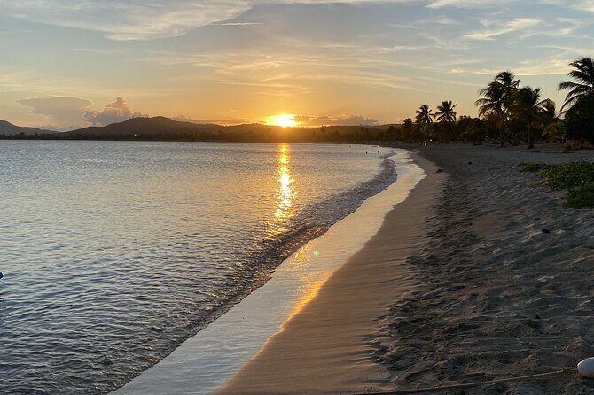 Bioluminescent Boat Tour in Mosquito Bay, Vieques - The Itinerary: A Simple but Powerful Journey
