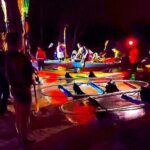 Bioluminescent Comb Jelly Clear Kayaking Tour - Who Will Love This Tour?