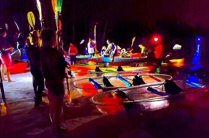 Bioluminescent Comb Jelly Clear Kayaking Tour - Who Will Love This Tour?
