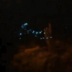 Bioluminescent Night Snorkeling - Potential Drawbacks and Considerations