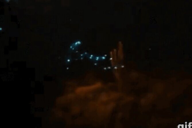 Bioluminescent Night Snorkeling - Potential Drawbacks and Considerations