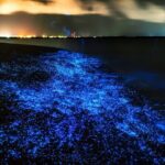 Bioluminescent Plankton, Sea Canoes & Sunset at James Bond Island - FAQs