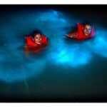 Bioluminescent Private Night Tours From Montego Bay - What’s Included and What’s Not