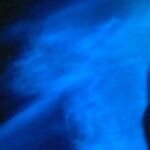 Bioluminiscense Lagoon Tour - The Bioluminescent Waters: A Surreal Natural Display