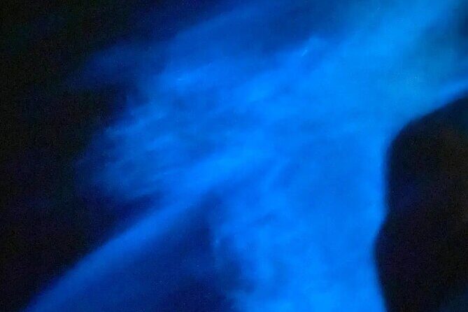 Bioluminiscense Lagoon Tour - The Bioluminescent Waters: A Surreal Natural Display