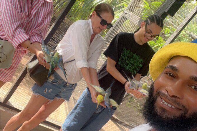 Bird & Animal Encounter in Montego Bay Feed,Hold & Snap Pics! - What Travelers Can Expect