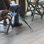 Bird Feeding Sanctuary & Montego Bay Highlight Tour - What You Can Expect: A Detailed Breakdown