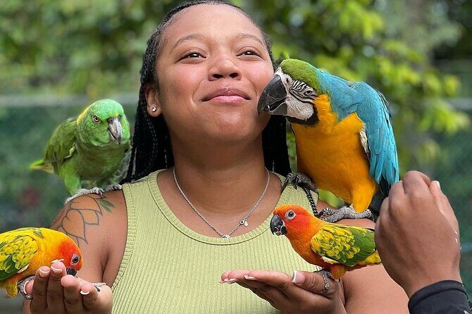 Bird Sanctuary and animal farm Day Tour - What to Expect at Each Stop