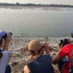 Bird Walk at Navi Mumbai - The Itinerary in Detail