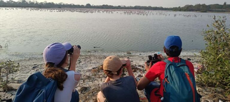 Bird Walk at Navi Mumbai - The Itinerary in Detail