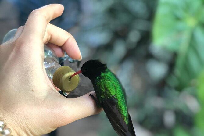 Bird Watcher's Paradise at Rockland Bird Sanctuary - Why Choose This Tour?