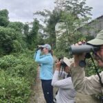 Bird Watching Tour in Cozumel - An In-Depth Look at the Tour