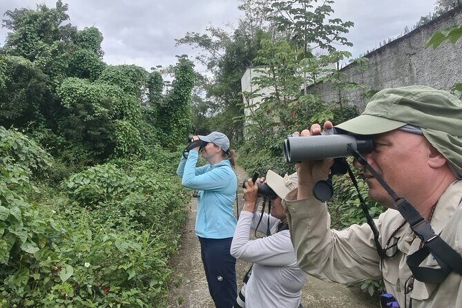 Bird Watching Tour in Cozumel - An In-Depth Look at the Tour