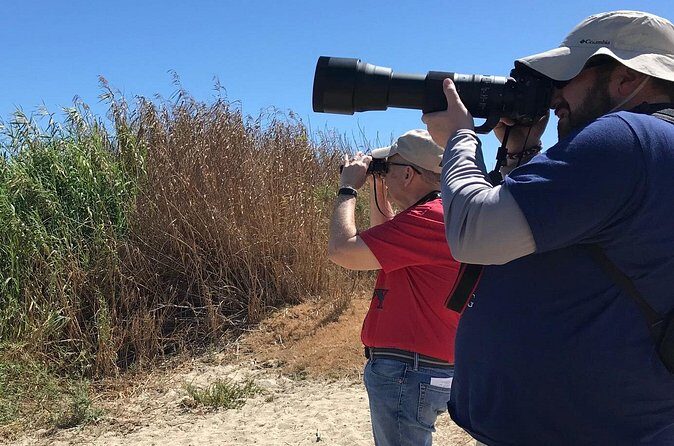 Birding Tour in La Paz Mexico - Detailed Breakdown of the Itinerary