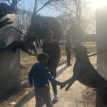 Birmingham Civil Rights Scavenger Interactive Hunt Activity - Who Will Love This Experience?