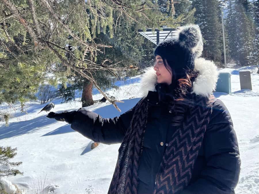 Bishkek: Ala Archa National Park & Chunkurchak Day Trip - How the Tour Balances Value and Experience