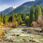 Bishkek: Ala Archa National Park Guided Tour - In-Depth Look at the Itinerary