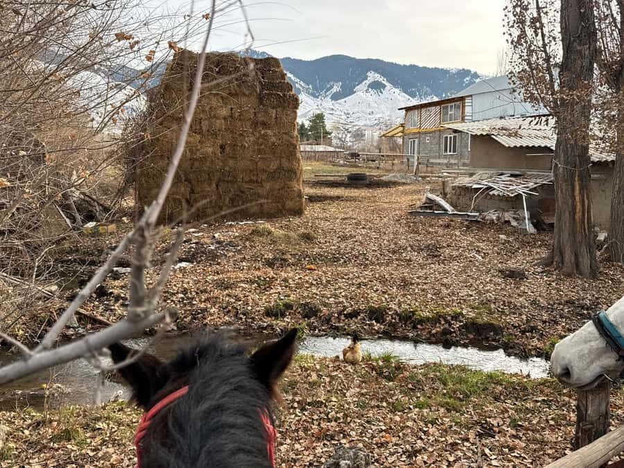 Bishkek : Chon-Kemin Valley Horseback Riding & Burana Tower - The Itinerary: What to Expect from Start to Finish