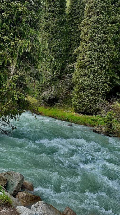 Bishkek: Kyrgyzstan 7-Day Guided Tour Meals & Accommodation - Exploring the Highlights in Depth