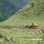 Bishkek: Shamsi Gorge Day Trip - What Makes This Tour Special?