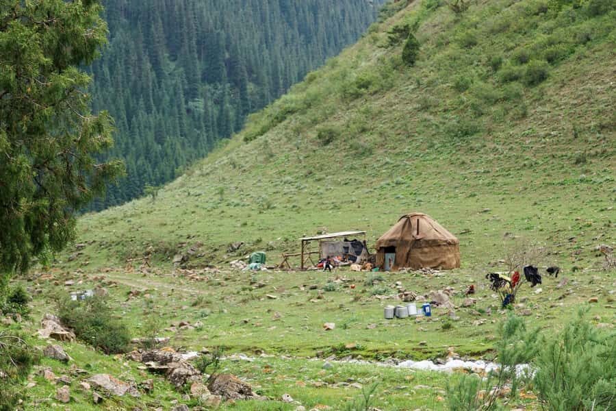 Bishkek: Shamsi Gorge Day Trip - What Makes This Tour Special?