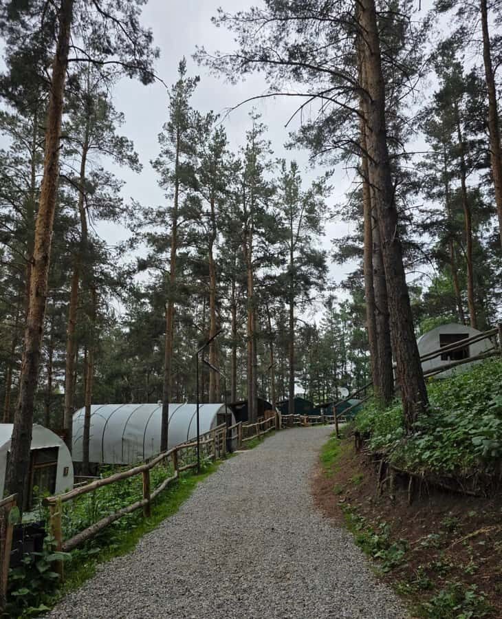 Bishkek to Chunkurchak: Sky Bridge, Horse Riding and Picnic - Practical Tips & Considerations