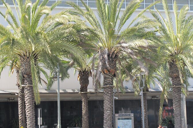 Black History Tour of South LA and Crenshaw - Historic West Adams: Homes and Influential Figures