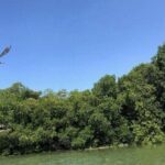 Black River Safari - Who Will Enjoy This Tour?