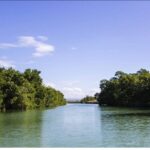 Black River Safari and Floyd Pelican Bar Tour from Montego Bay - Transport and Logistics: What You Need to Know