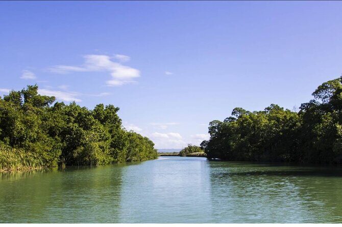 Black River Safari and Floyd Pelican Bar Tour from Montego Bay - Transport and Logistics: What You Need to Know