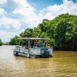 Black River Safari with Transport from Montego Bay - Authentic Wildlife Encounters and Scenic Views