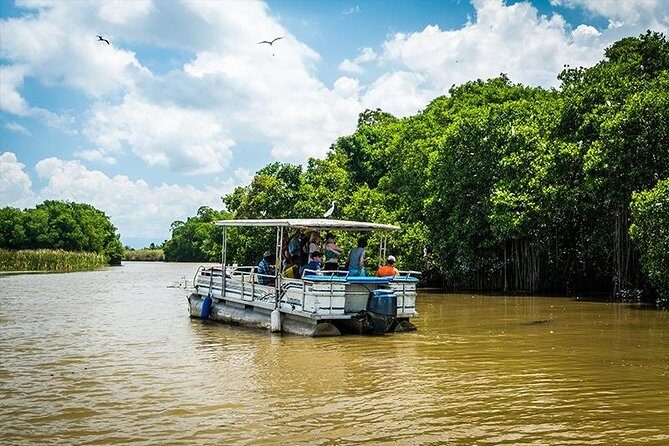 Black River Safari with Transport from Montego Bay - Authentic Wildlife Encounters and Scenic Views