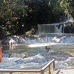 Black River Safari * YS Falls * Appleton Rum Tour - Who will love this tour?