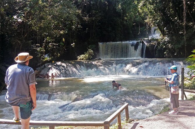 Black River Safari * YS Falls * Appleton Rum Tour - Who will love this tour?