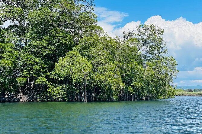 Black River Safari YS Falls Lunch Classic Combo From Negril - Why This Tour Offers Great Value