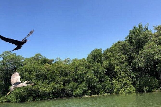 Black River Safari - Who Will Enjoy This Tour?