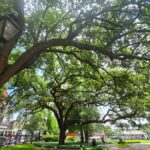 Blood and Brick: Macabre Histories of the French Quarter Tour - An In-Depth Look at the Blood and Brick Tour