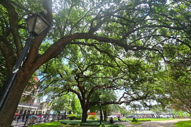 Blood and Brick: Macabre Histories of the French Quarter Tour - An In-Depth Look at the Blood and Brick Tour