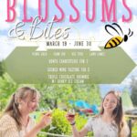Blossoms + Bites Springtime Meadery Luncheon for Two Kelowna - A Closer Look at the Blossoms + Bites Experience