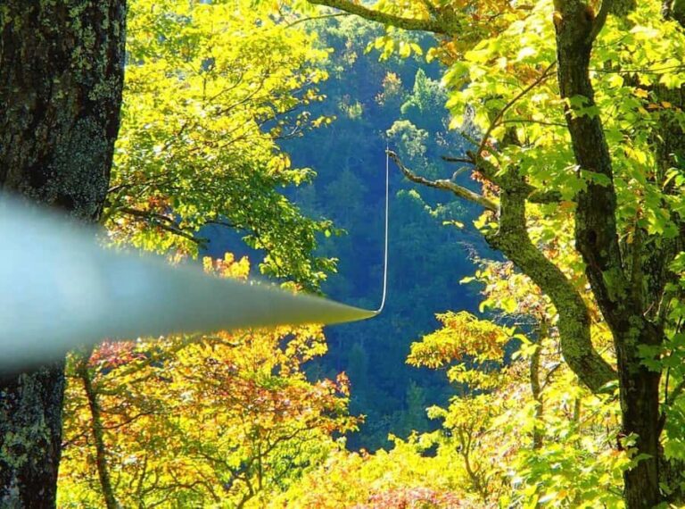 Blowing Rock: Zipline Adventure Tours with Waterfall Views - What Sets This Tour Apart?