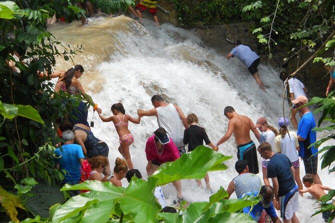 Blue Hole and Dunn's River Falls from Montego Bay - Dunn’s River Falls: Jamaica’s Iconic Water Adventure