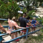 Blue Hole and Secret Falls Day Trip plus Shopping from Falmouth - The Sum Up: Who Will Love This Tour?