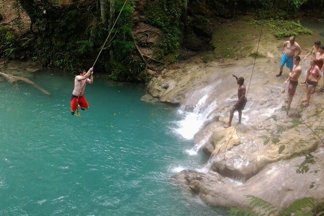 Blue Hole, Dunn's River Falls Luminous Lagoon Excursion From Montego Bay - What to Expect from the Tour