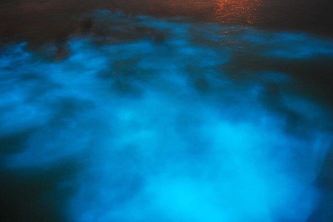 Blue Hole/ Dunn's River Falls & Luminous Lagoon (Glistening water) 3 in 1 combo - A Detailed Look at the Tour Experience